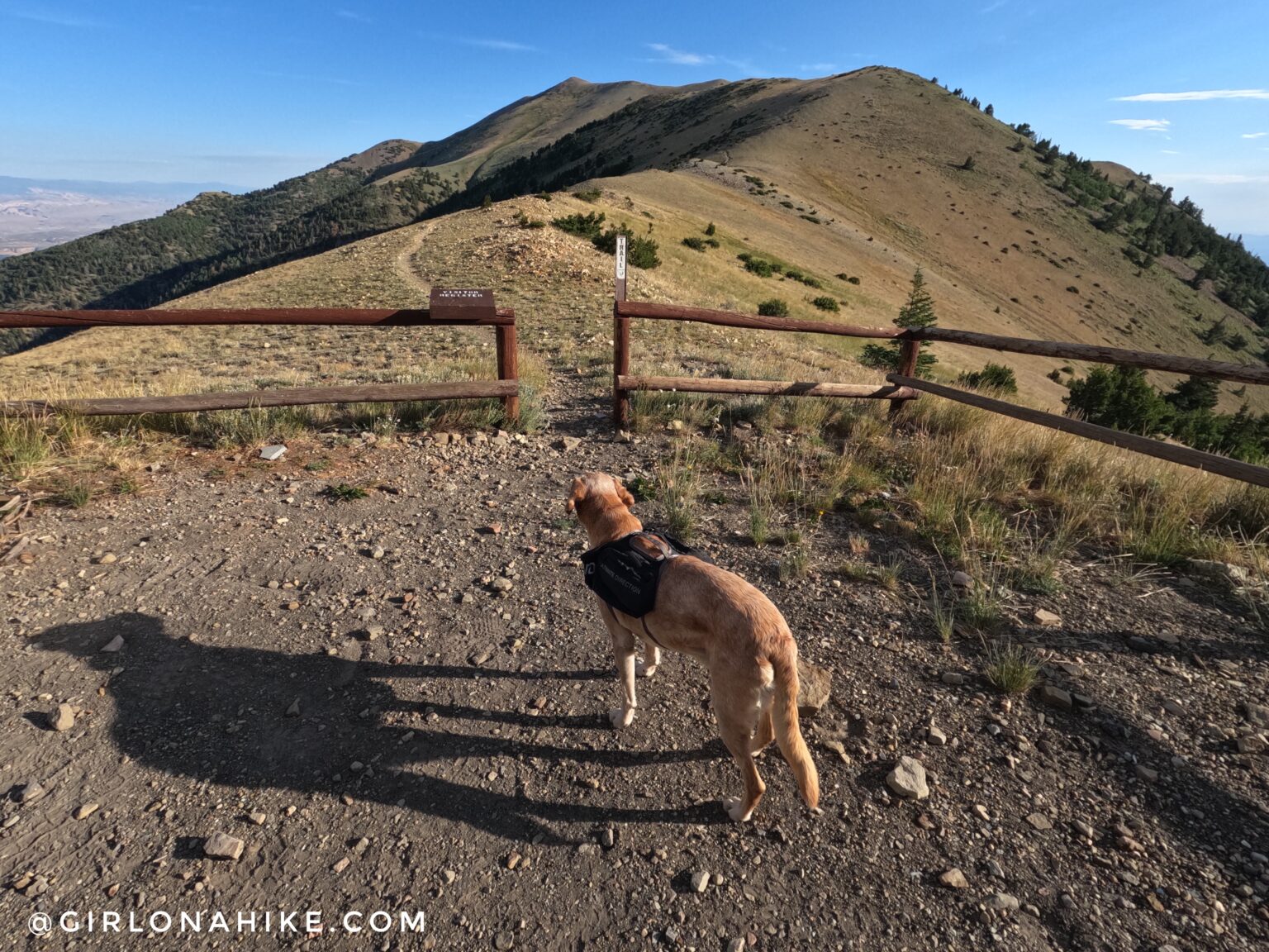 Hiking to Mount Ellen & Mt.Ellen Peak - Girl on a Hike