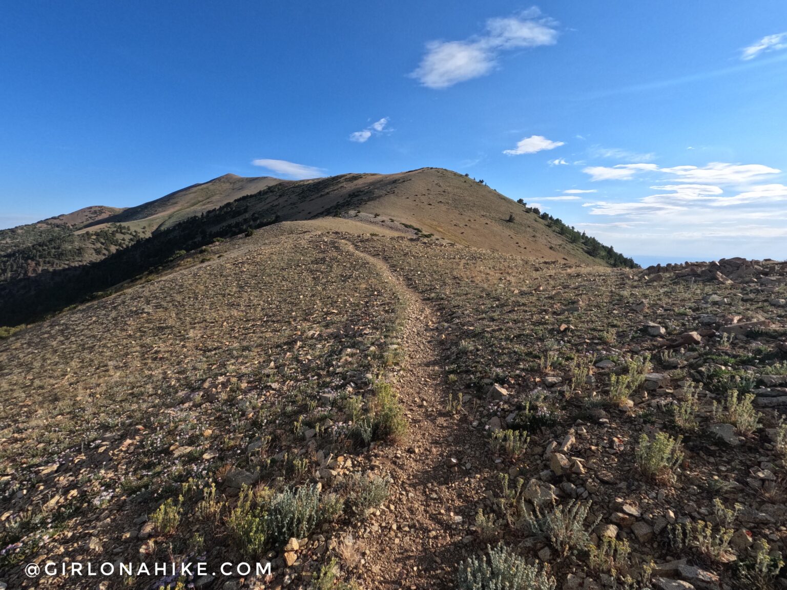 Hiking to Mount Ellen & Mt.Ellen Peak - Girl on a Hike