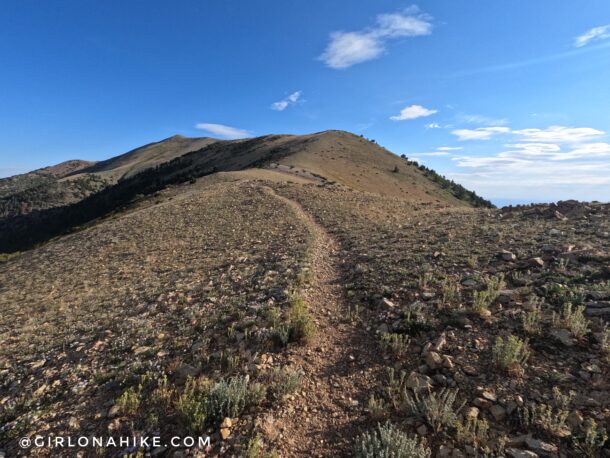 Hiking to Mount Ellen & Mt.Ellen Peak - Girl on a Hike