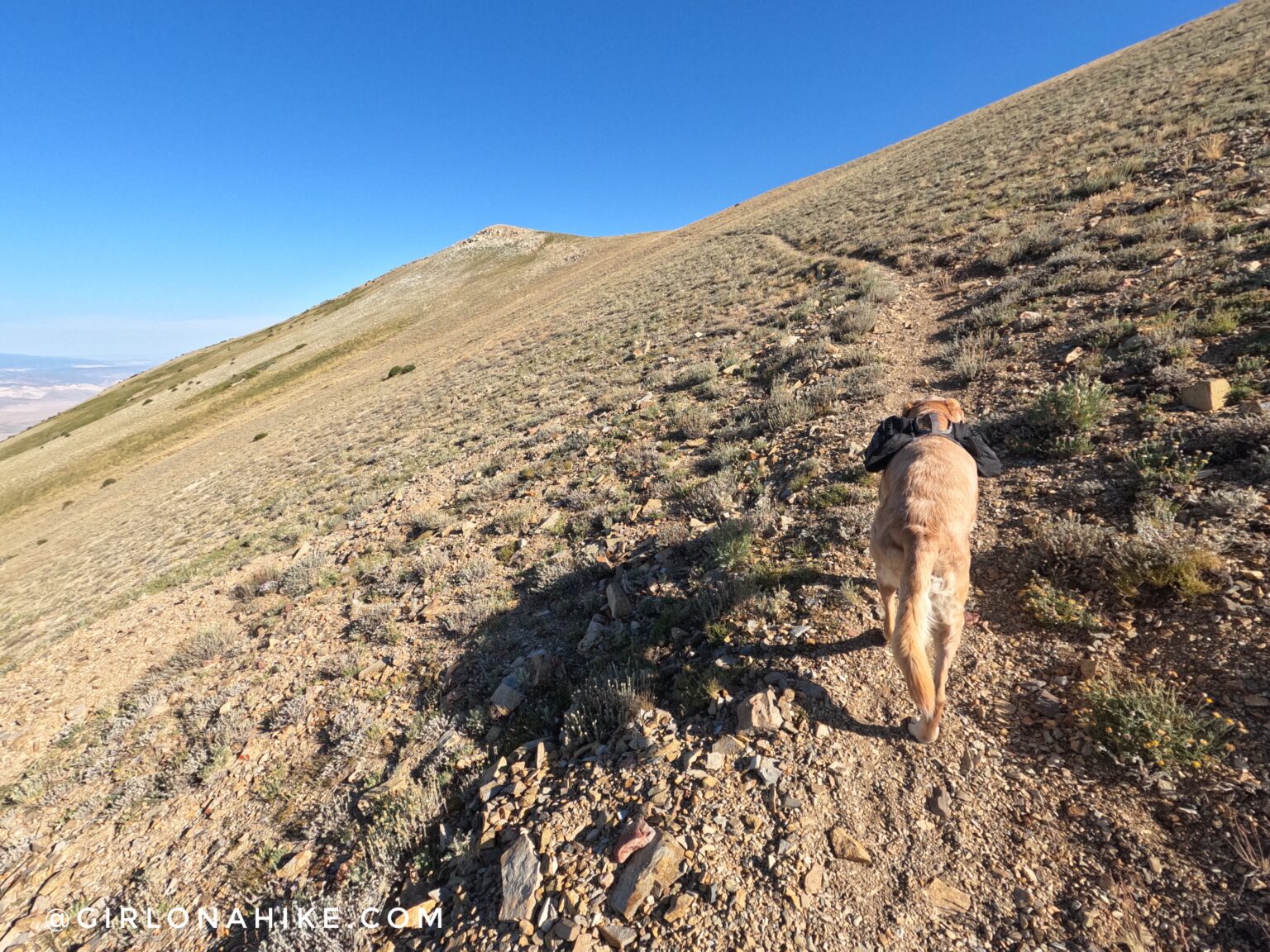 Hiking to Mount Ellen & Mt.Ellen Peak - Girl on a Hike