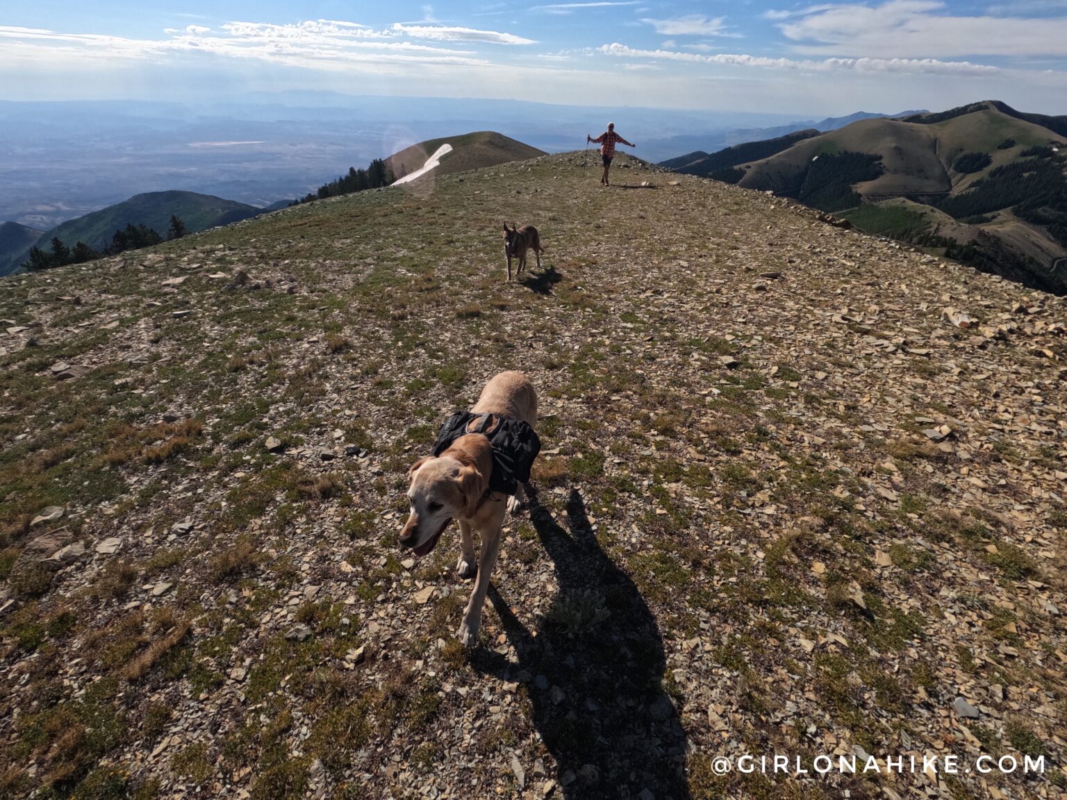 Hiking to Mount Ellen & Mt.Ellen Peak - Girl on a Hike