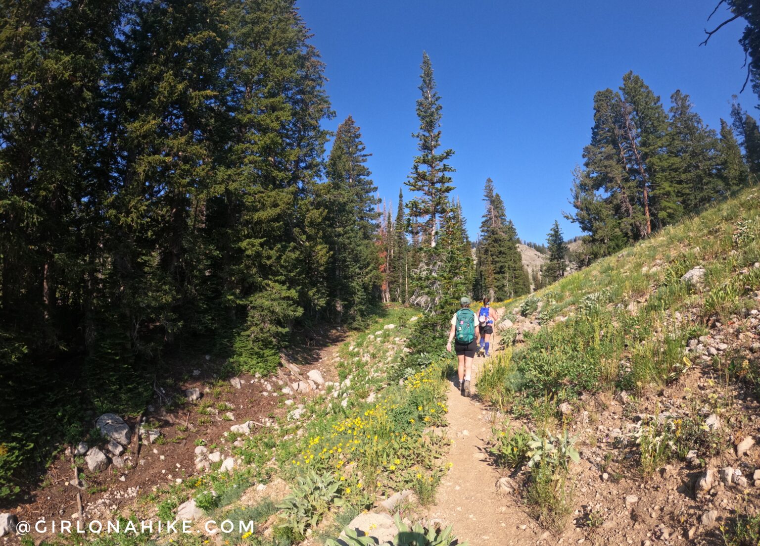Hiking to Hiking to Naomi Peak, Logan Canyon, Logan Canyon, Utah - Girl ...