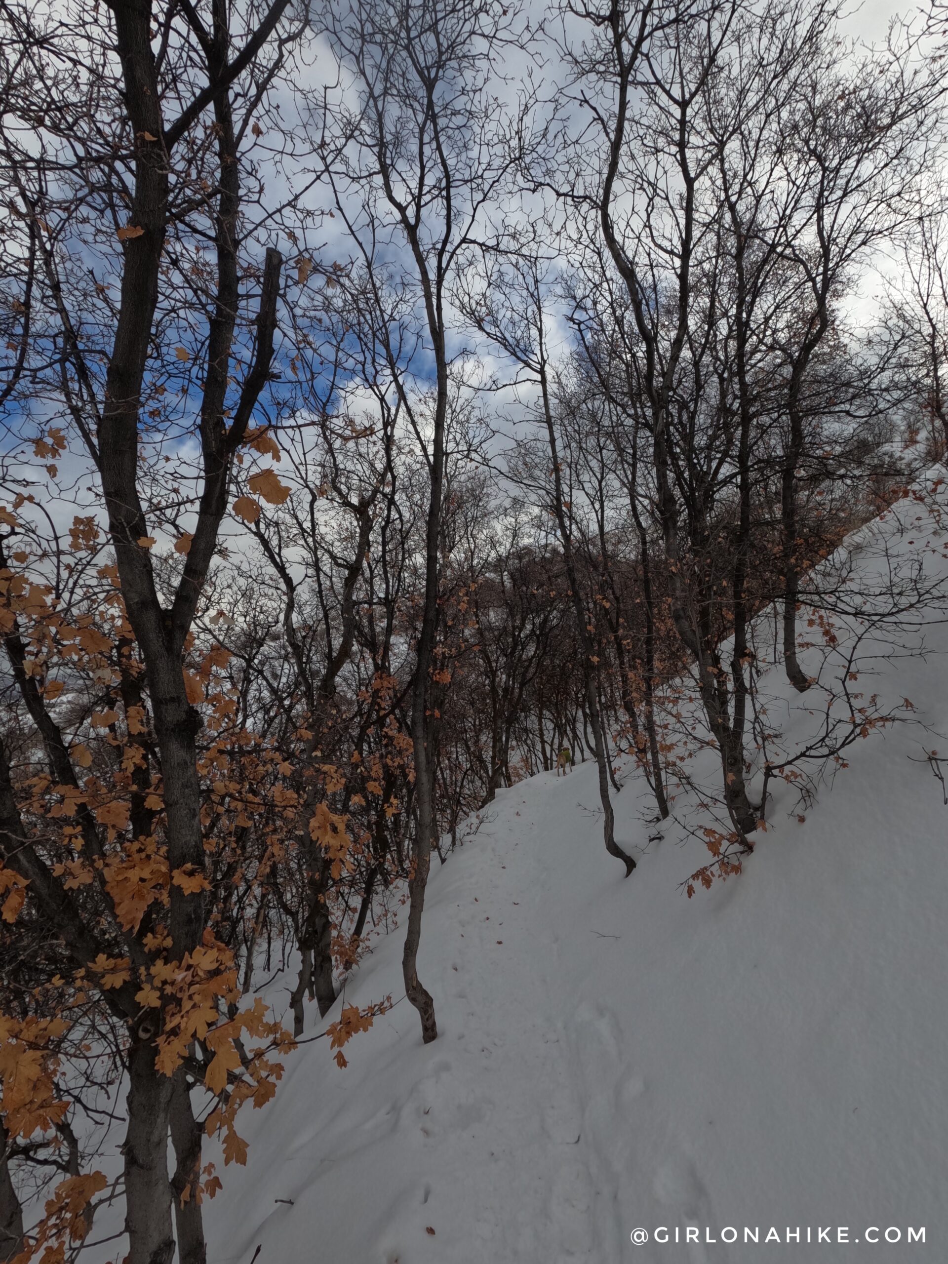 Hiking the Wild Rose Trail - Girl on a Hike